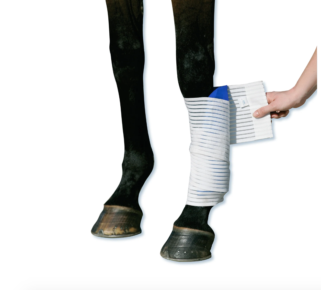 Venda Kryo Kompakt – EQUI CLASSIS